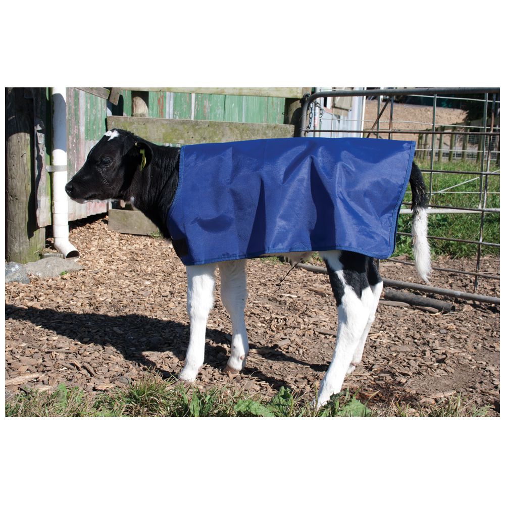 Calf Coat Cover Polyester 68cm | The Farm Shed